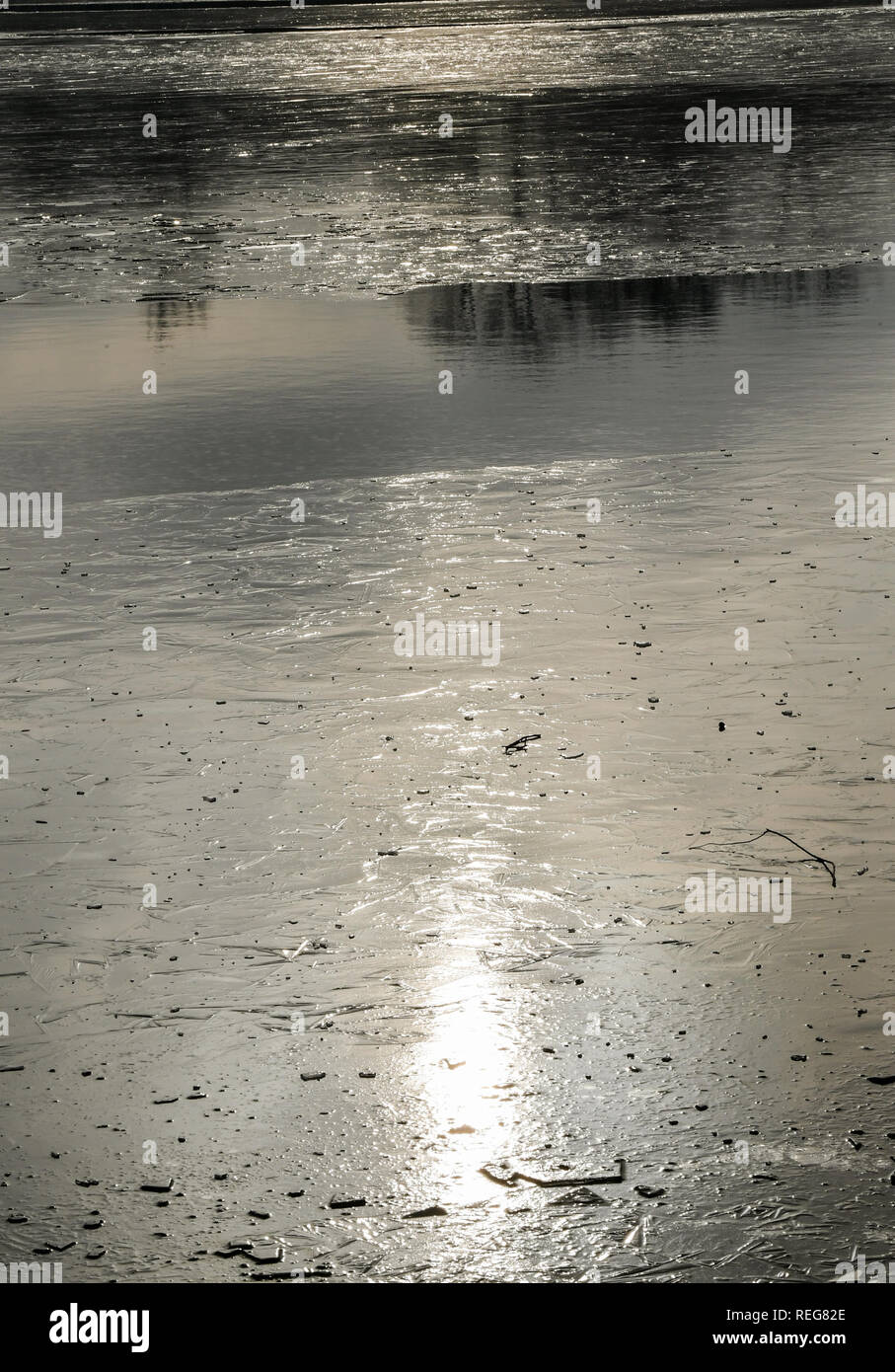 Berlin, Germany. 21st Jan, 2019. A thin layer of ice has formed on ...