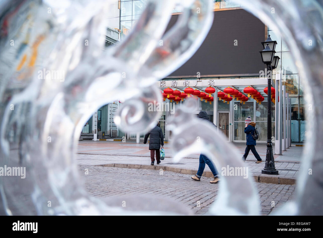 Harbin, Harbin, China. 22nd Jan, 2019. Harbin, CHINA-A glimpse of ...