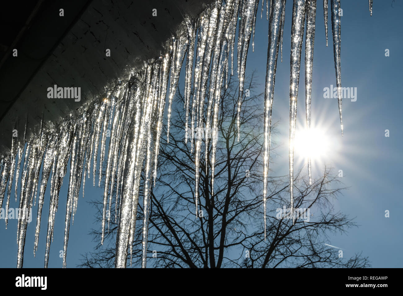Rohrdorf Im Landkreis Ravensburg, Germany. 22nd Jan, 2019. Dozens of ...