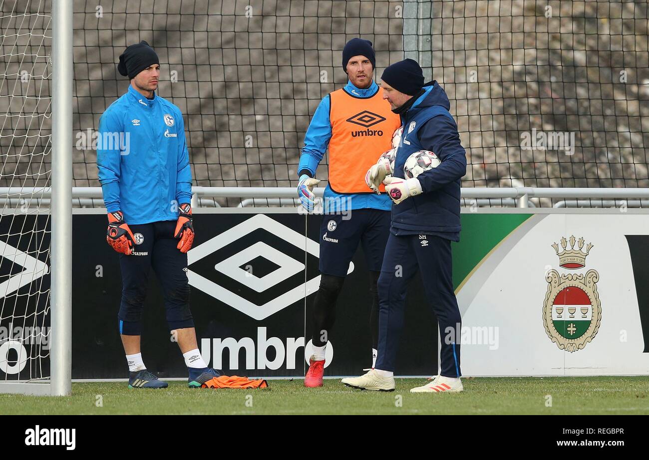 Gelsenkirchen, Deutschland. 22nd Jan, 2019. firo: 22.01.2019, football ...