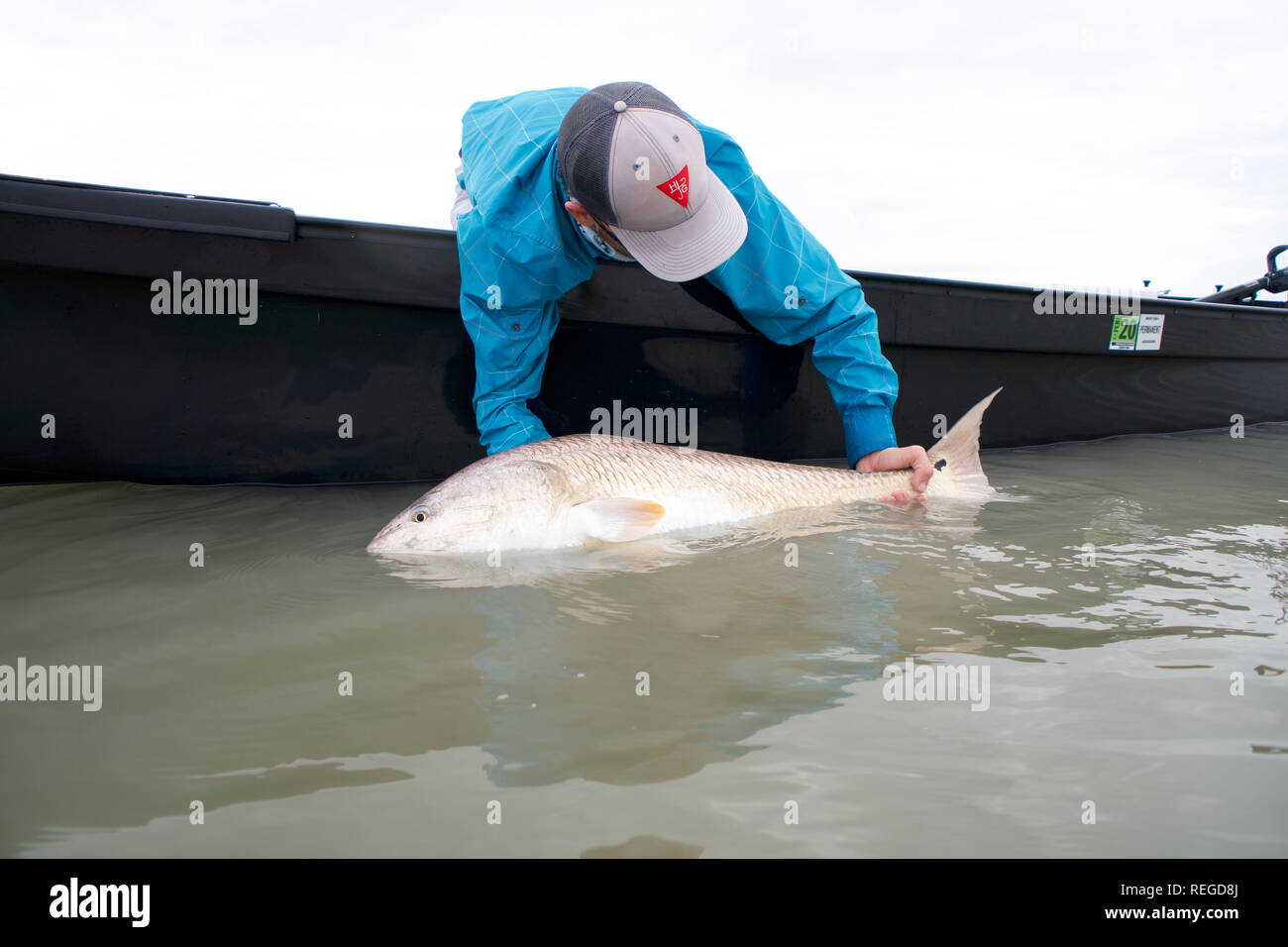 Bull Redfish Wallpaper