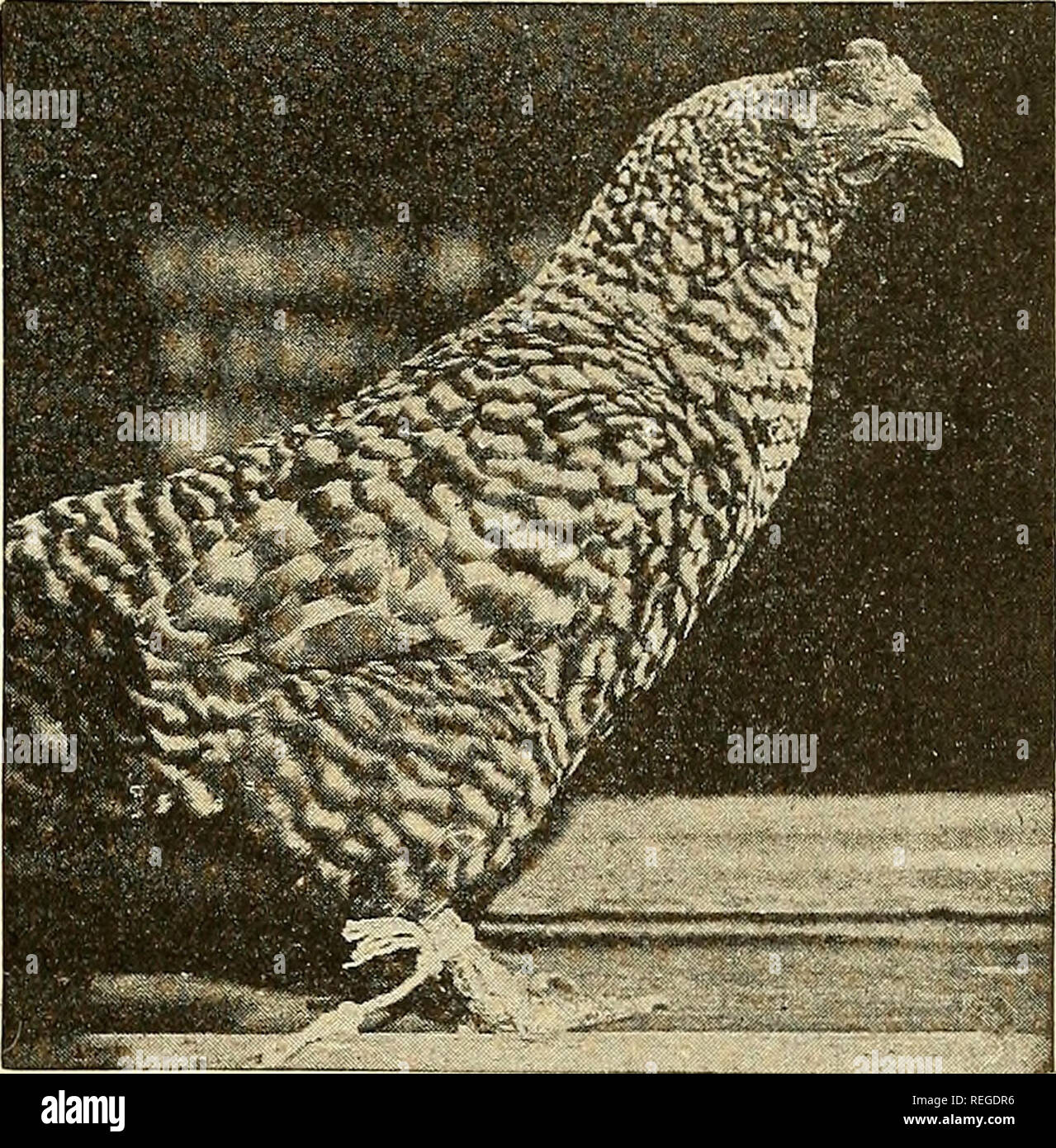 Ruptured blood vessels hi-res stock photography and images - Alamy