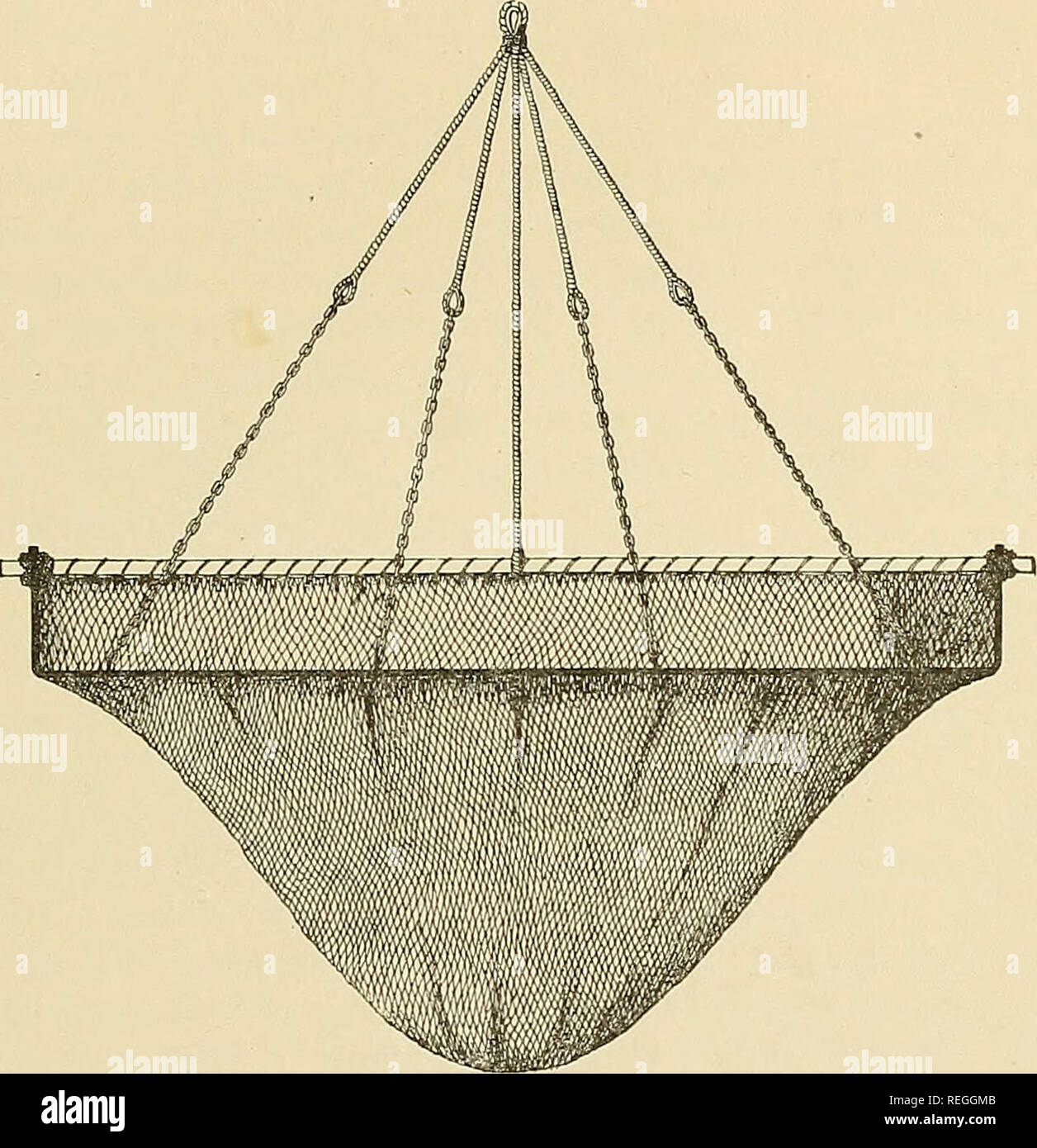 Bridle cable hi-res stock photography and images - Alamy