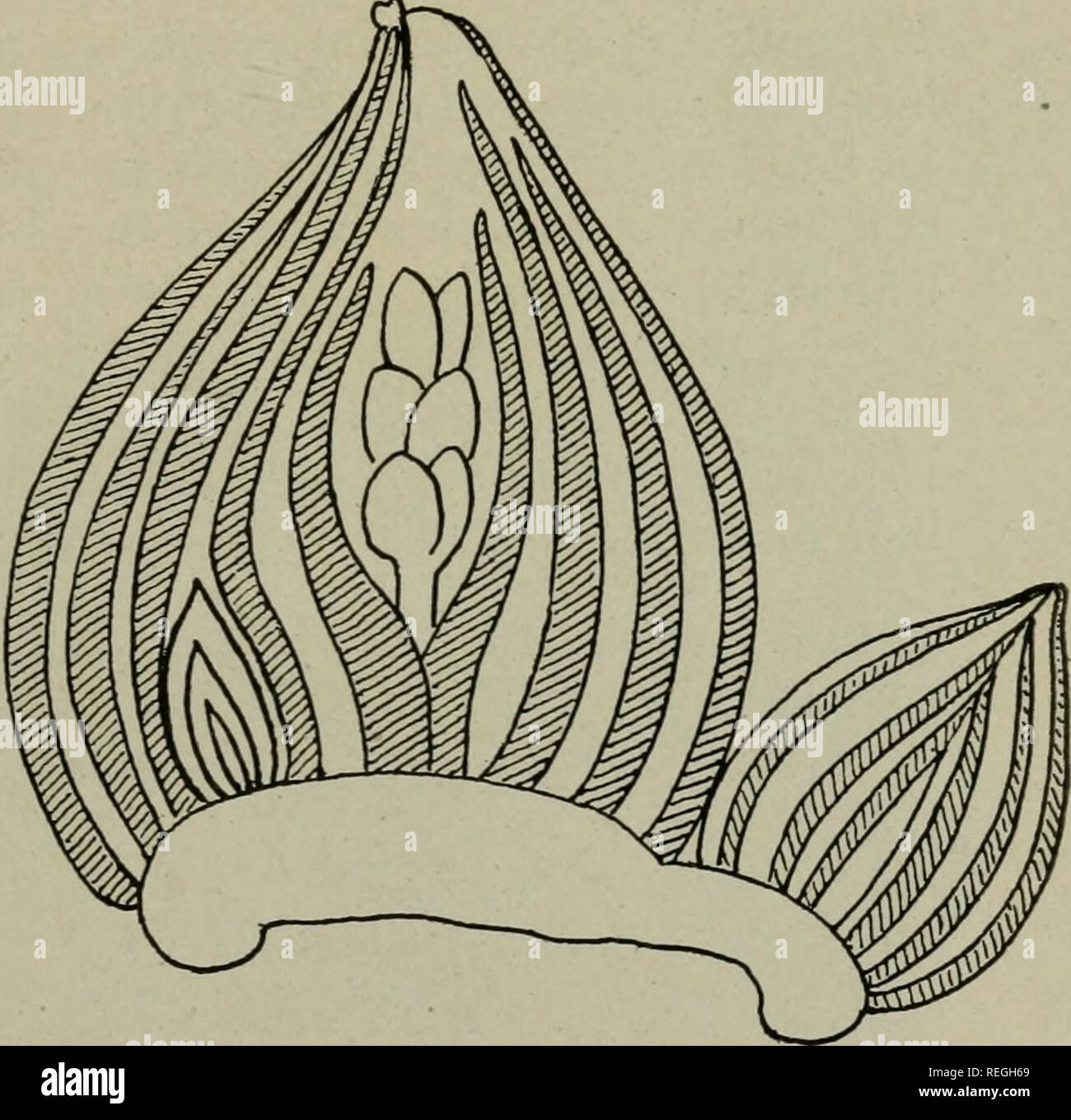 Simple layering hi-res stock photography and images - Alamy