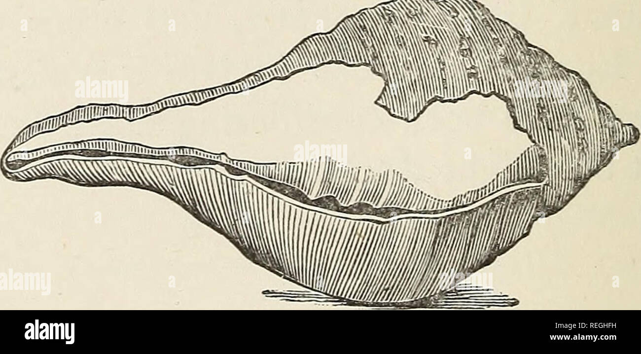 Shell manufacturing process hi-res stock photography and images - Alamy