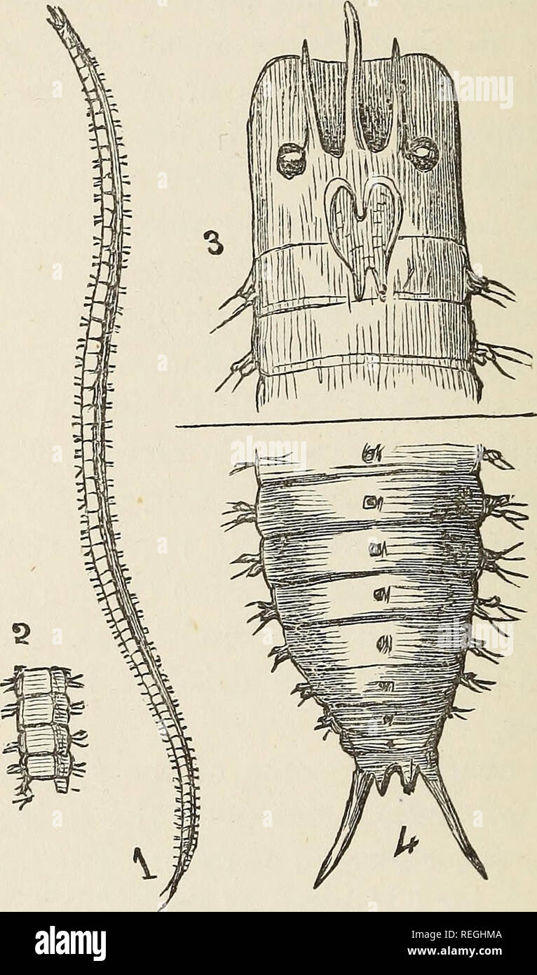 . The commercial products of the sea;. Fisheries; Seafood. 12 2 The ...