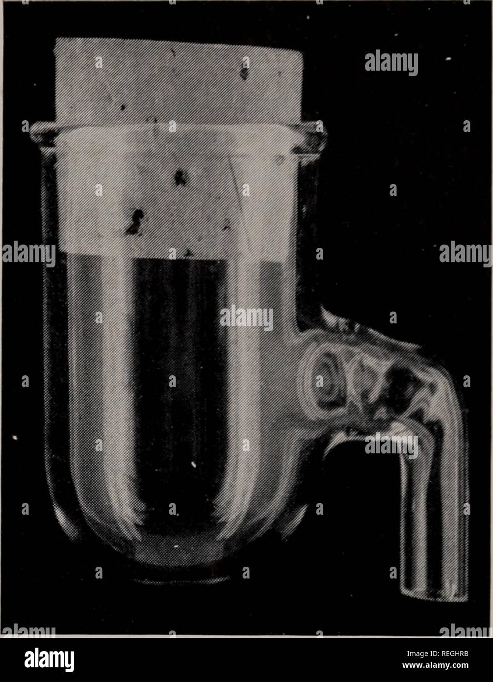 . Commercial mass culture of the California red scale parasite ...
