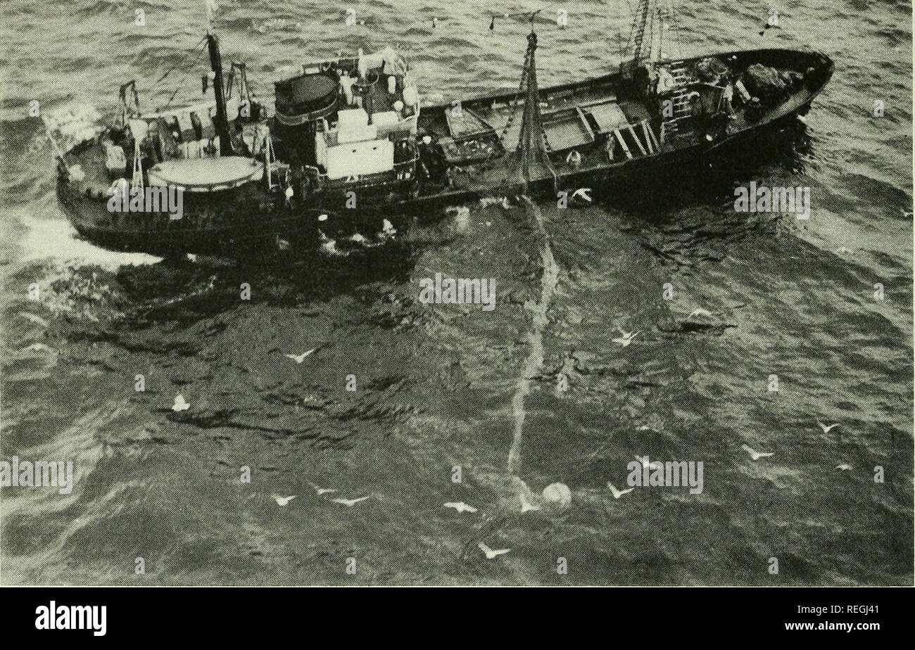 . Commercial fisheries review. Fisheries; Fish trade. The Soviet medium ...