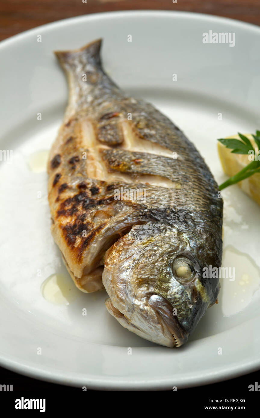 Freshwater Bream High Resolution Stock Photography and Images - Alamy