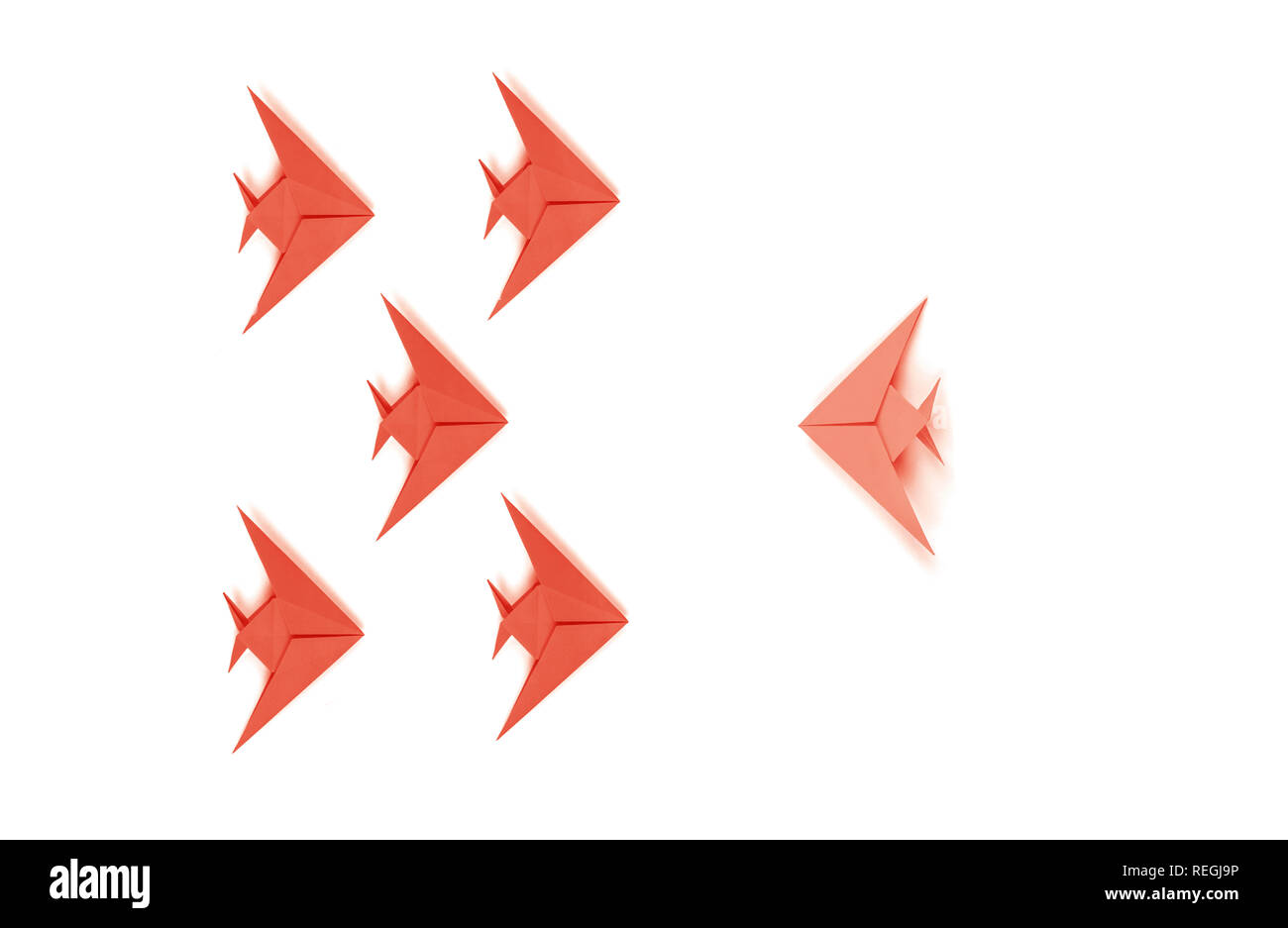 Coral origami fishes isolated on white background Stock Photo - Alamy