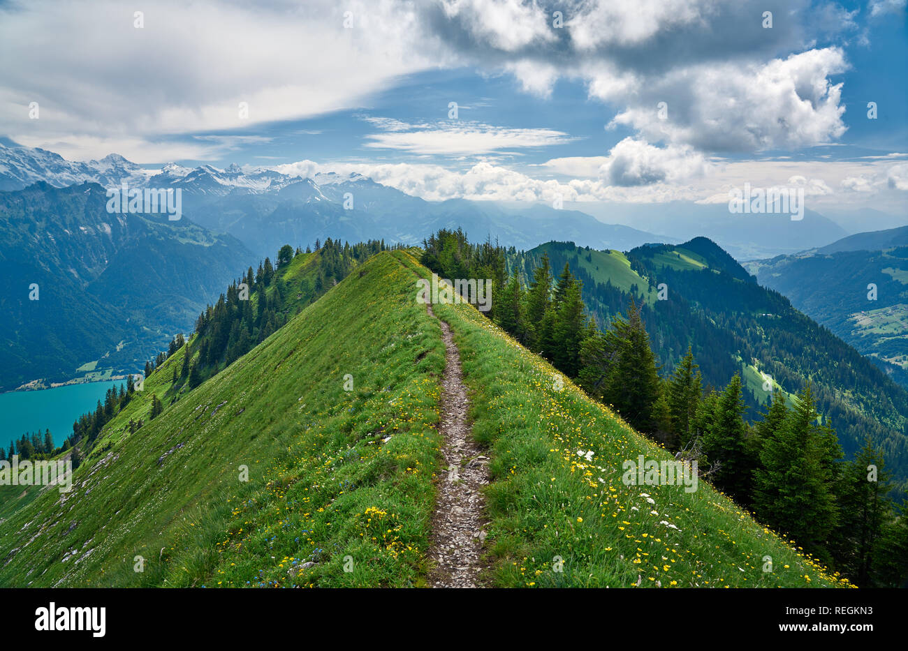 Landscape from Swiss Alps with green nature and Lake Brienz ...