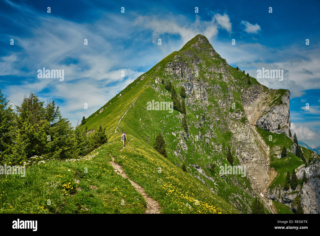 Swiss Alps landscape panorama of Hardergrat ridge trail /hike ...