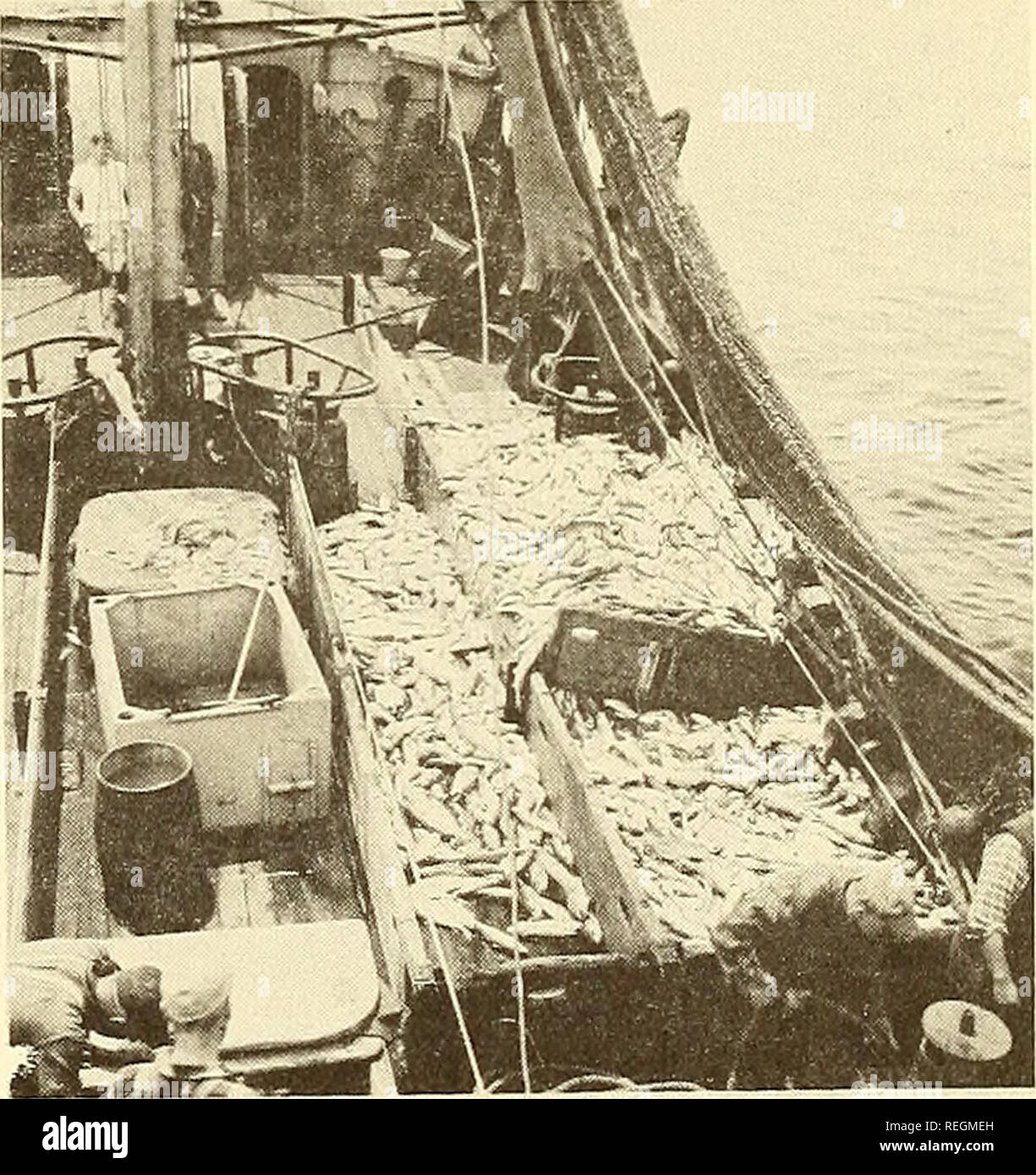 Overboard discharge hi-res stock photography and images - Alamy