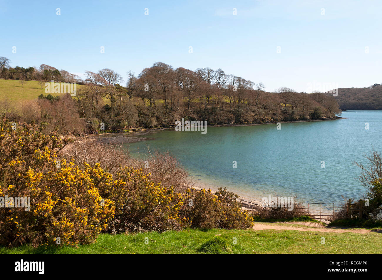 secluded creek on the river fal near truro in cornwall, england, uk ...