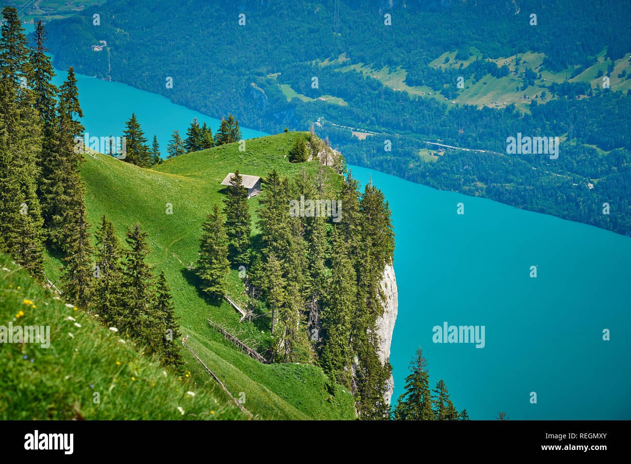 Landscape from Swiss Alps with green nature and Lake Brienz ...