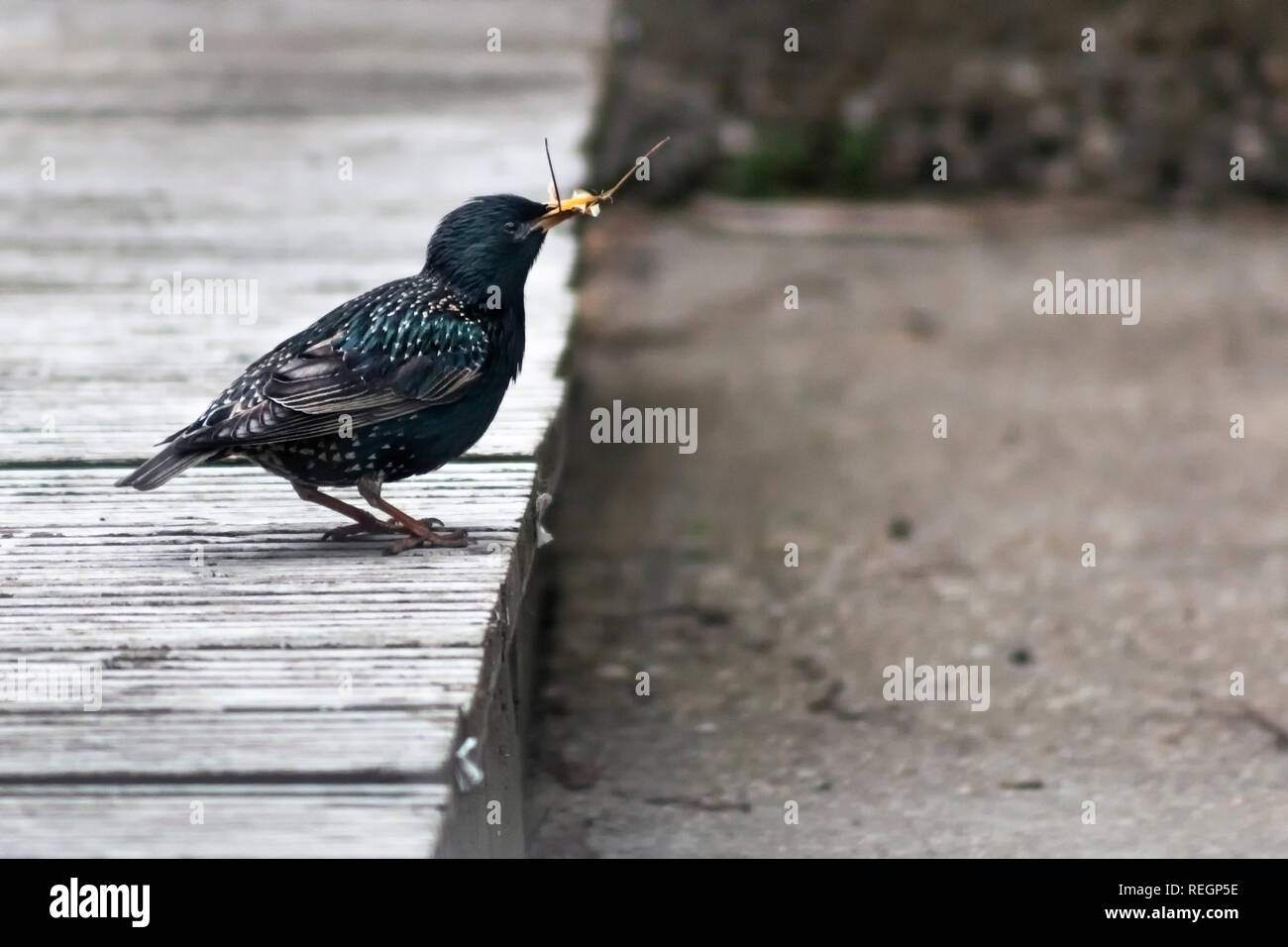 Pathway material hi-res stock photography and images - Alamy