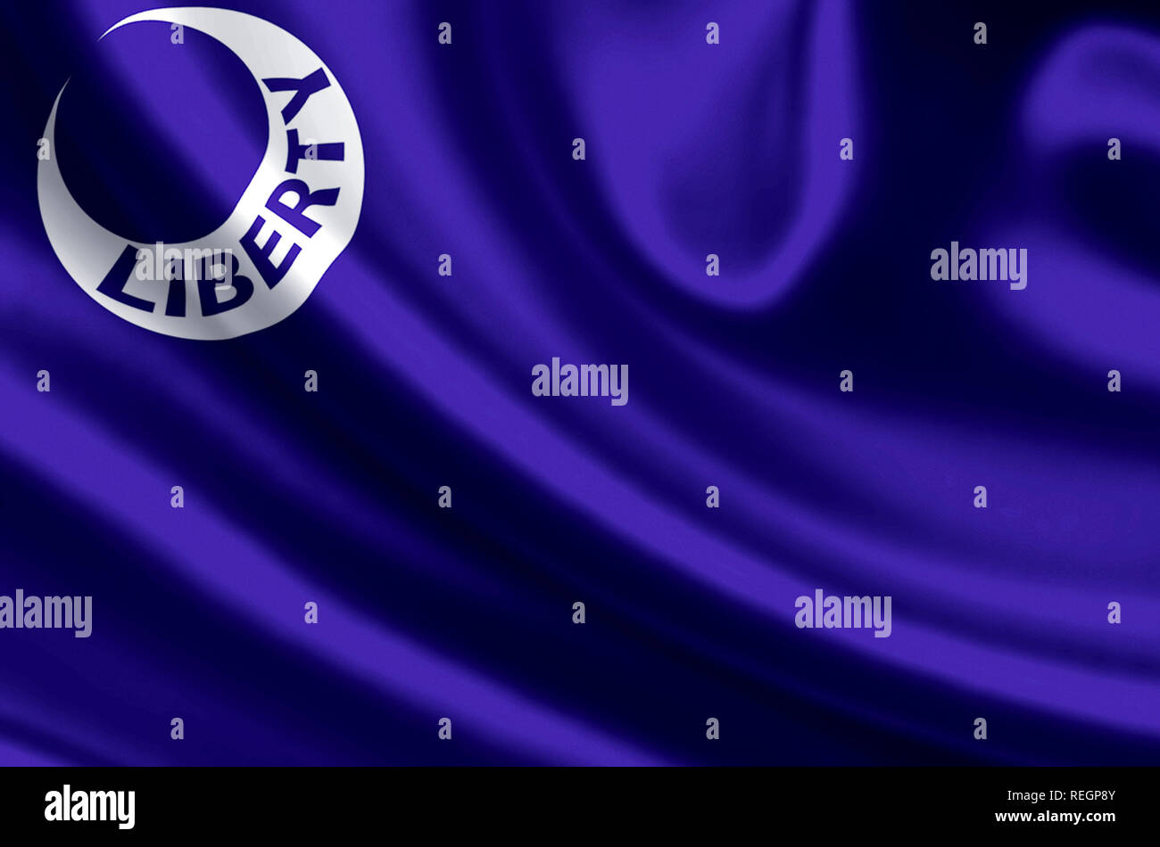 Fort Moultrie waving and closeup flag illustration. Perfect for ...