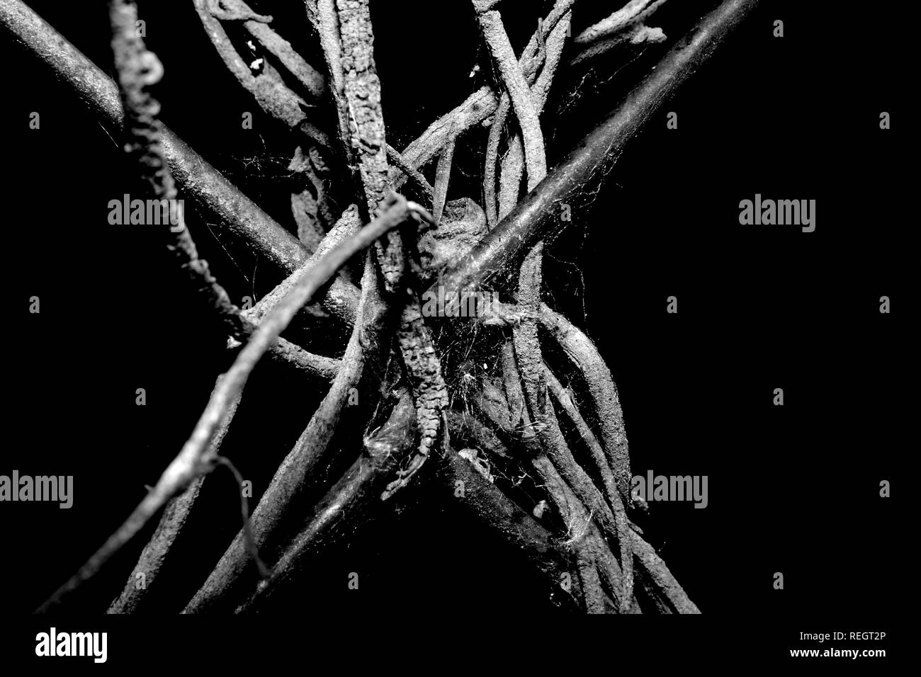 Background low Black and White Stock Photos & Images - Alamy