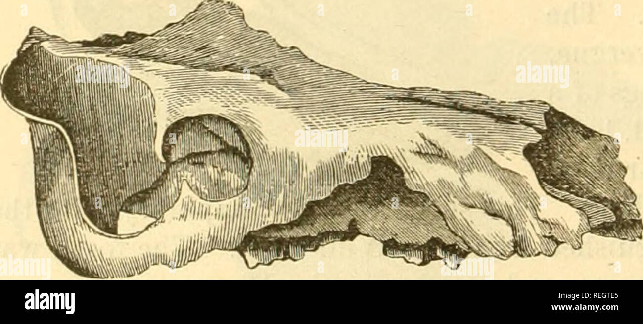 Transverse valley hi-res stock photography and images - Alamy