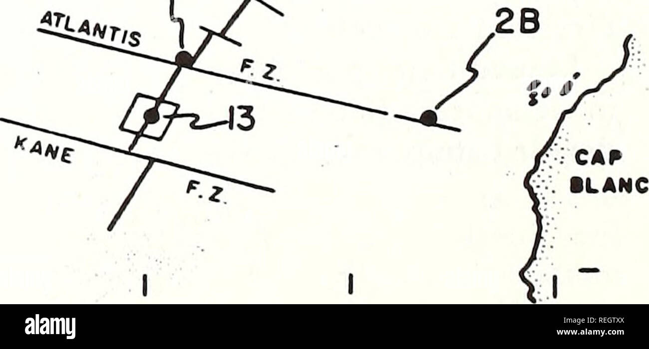 Mid florida ridge hi-res stock photography and images - Alamy