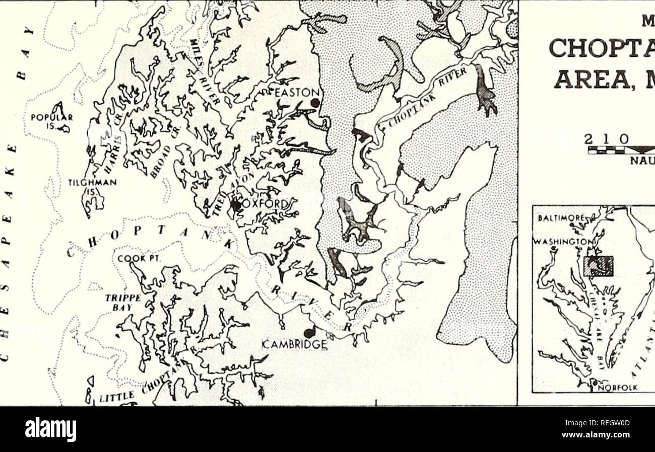 Choptank river map hi-res stock photography and images - Alamy