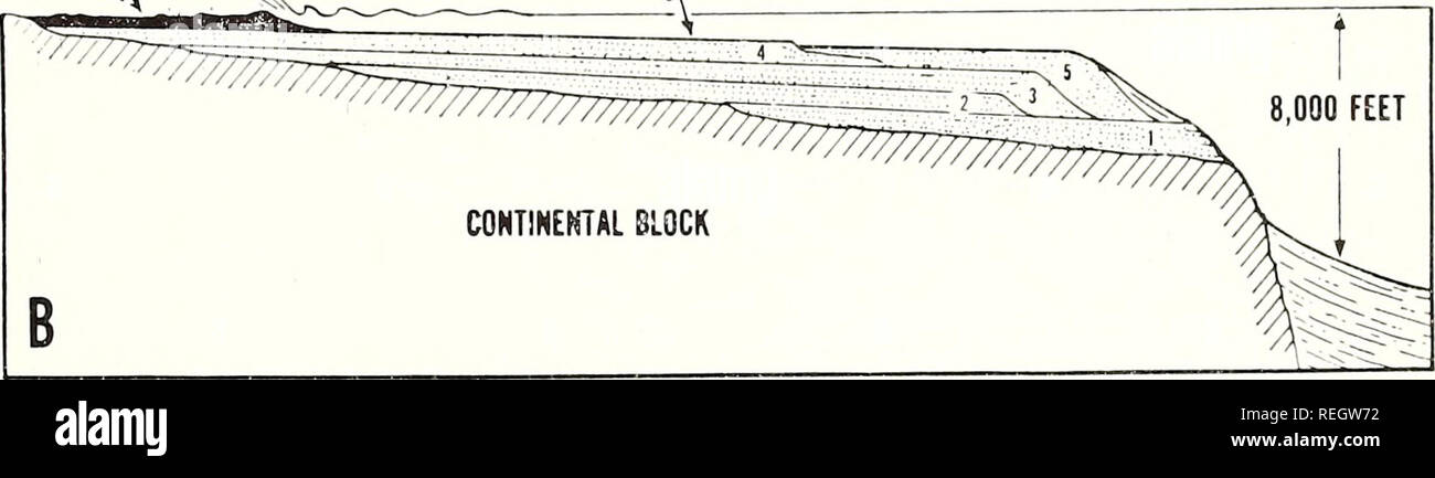 Shoreface hi-res stock photography and images - Alamy