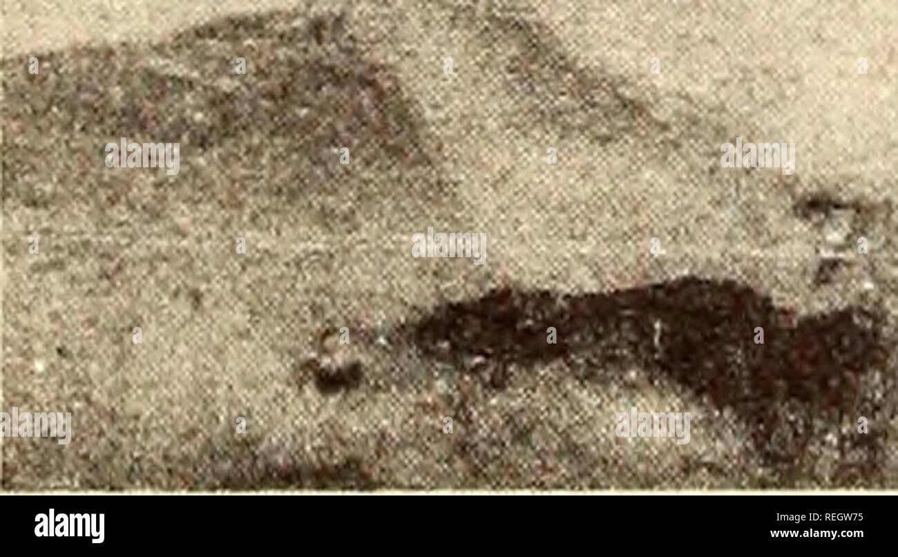 . Collected reprints, Essa Institute for Oceanography. Oceanography ...