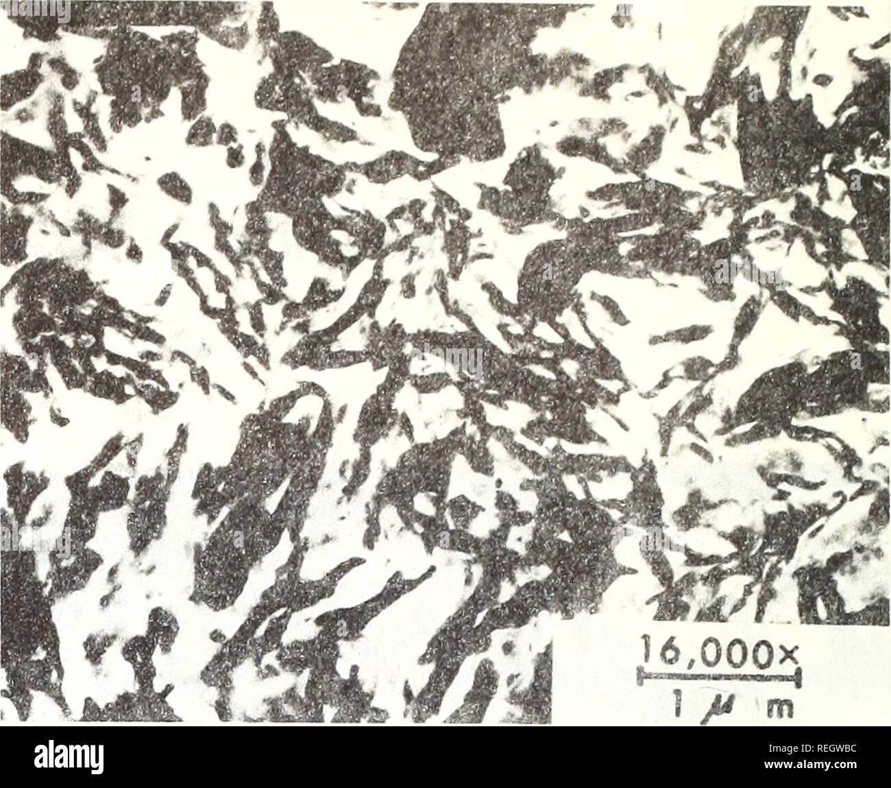 Increase in porosity hi-res stock photography and images - Alamy