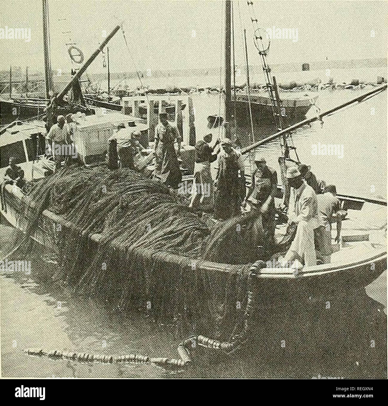 . Commercial fisheries review. Fisheries; Fish trade. Fig. 1 ...