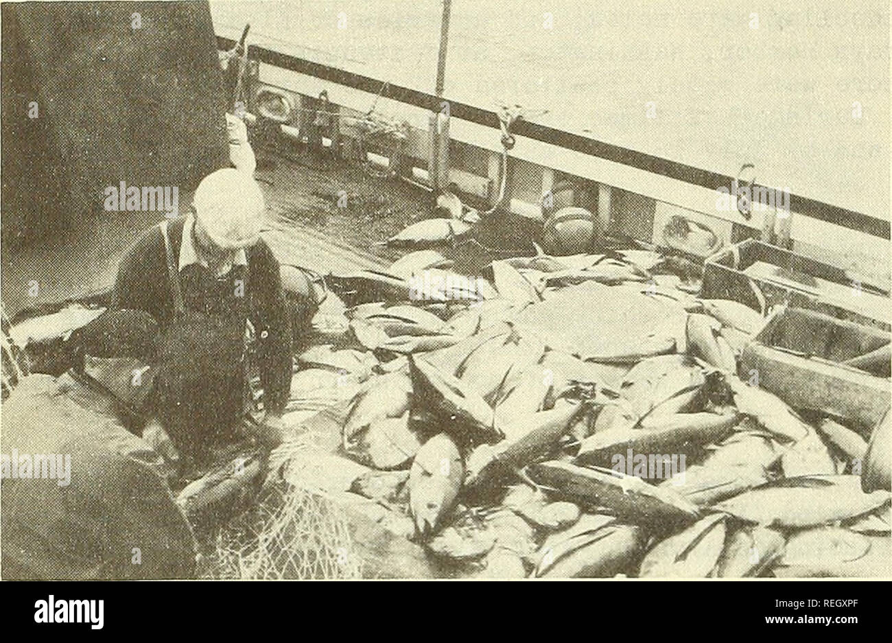 Two stretched nets hi-res stock photography and images - Alamy