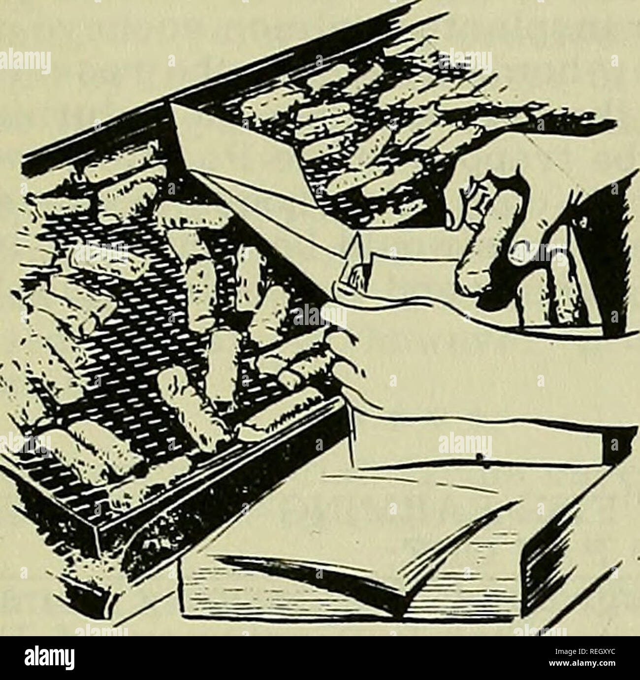 Fish sticks 1960 hi-res stock photography and images - Alamy