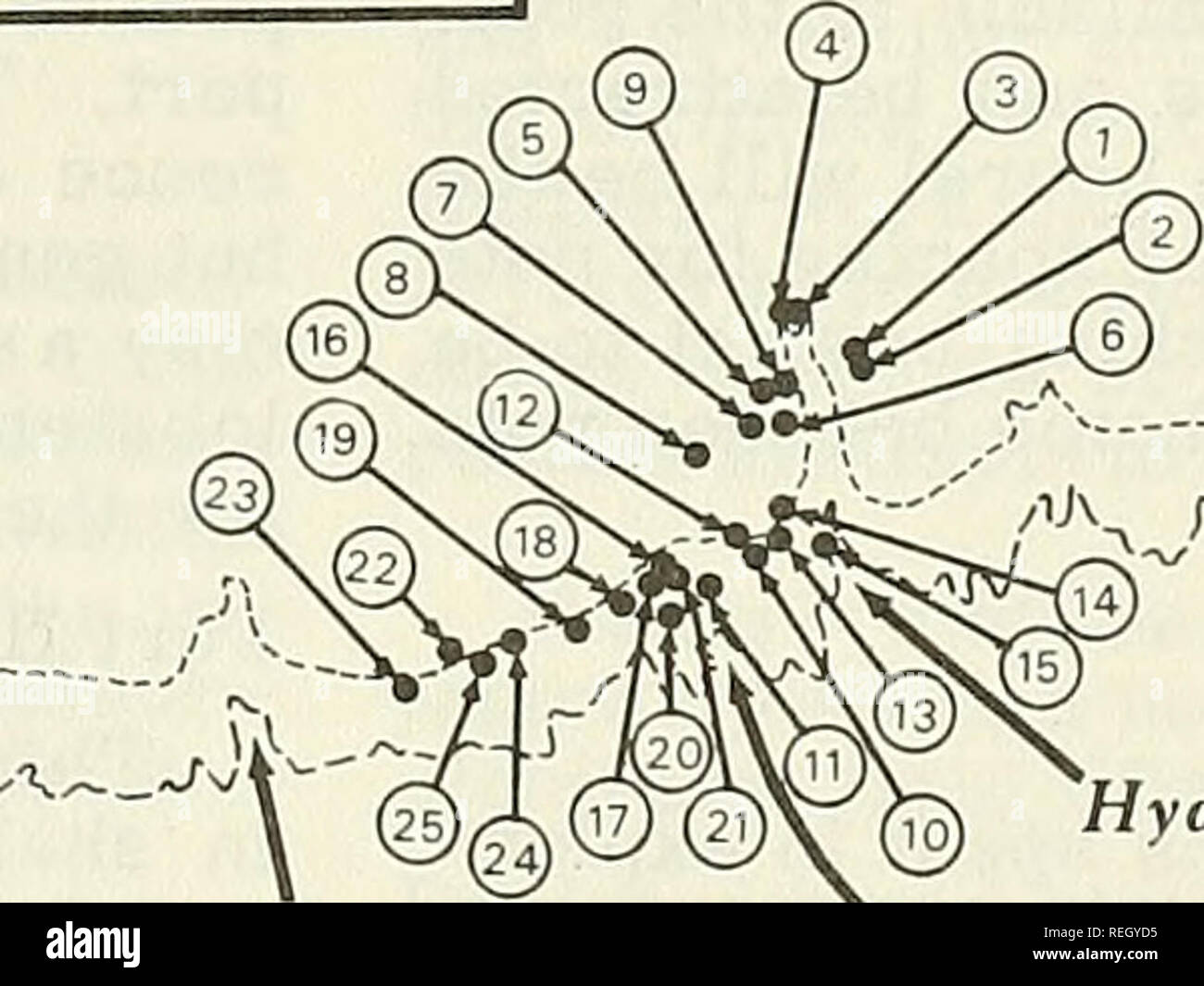 Hydrographer canyon hi-res stock photography and images - Alamy