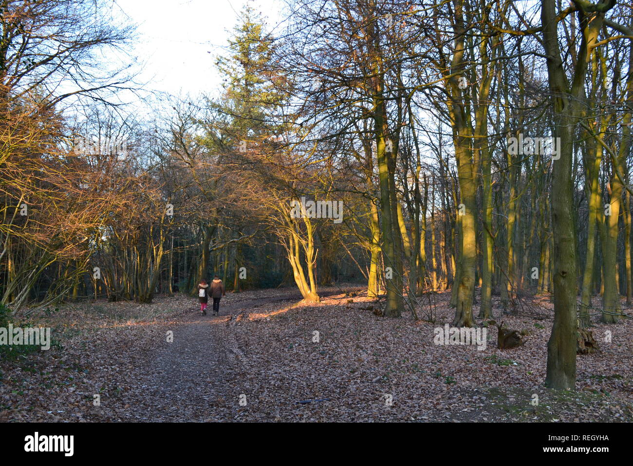 Kent In January High Resolution Stock Photography and Images - Alamy