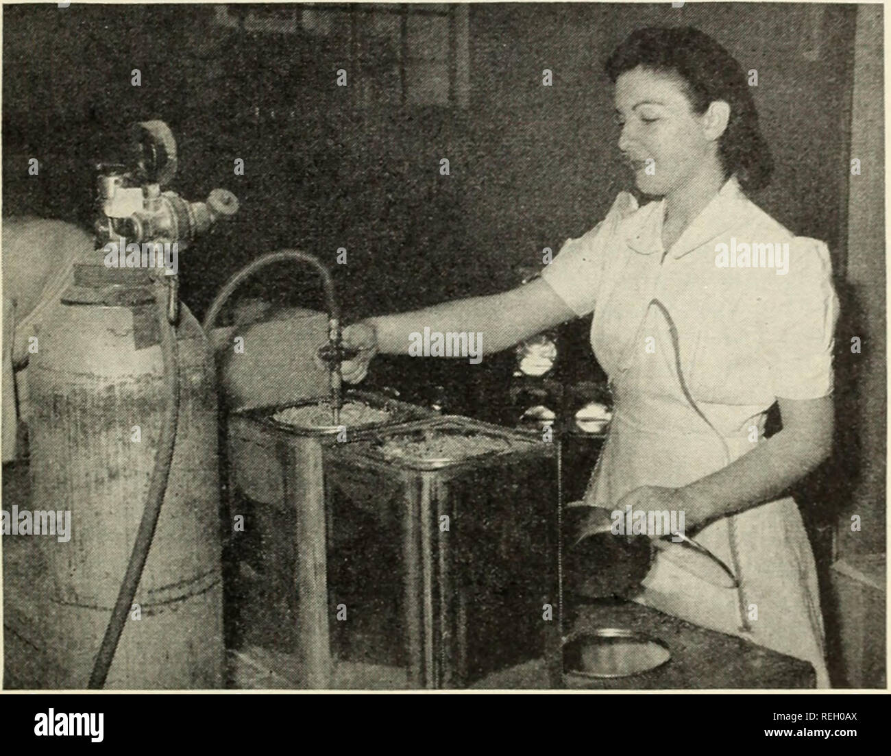 . Commercial dehydration of vegetables and fruits in wartime ...