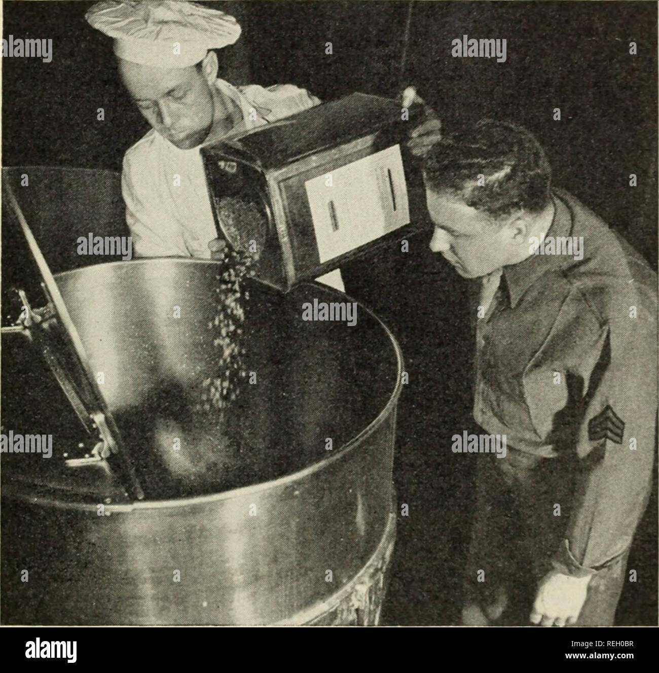 . Commercial dehydration of vegetables and fruits in wartime ...