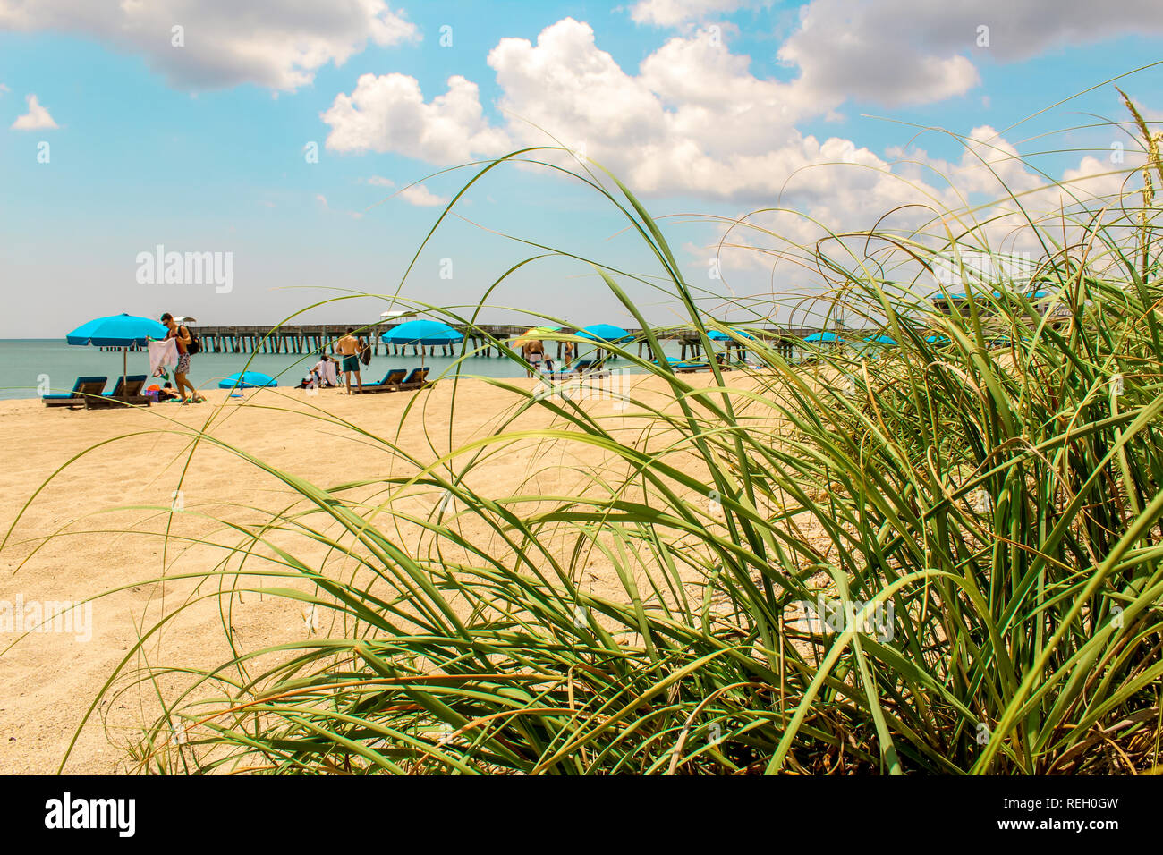 Lake worth beach pier hi-res stock photography and images - Alamy