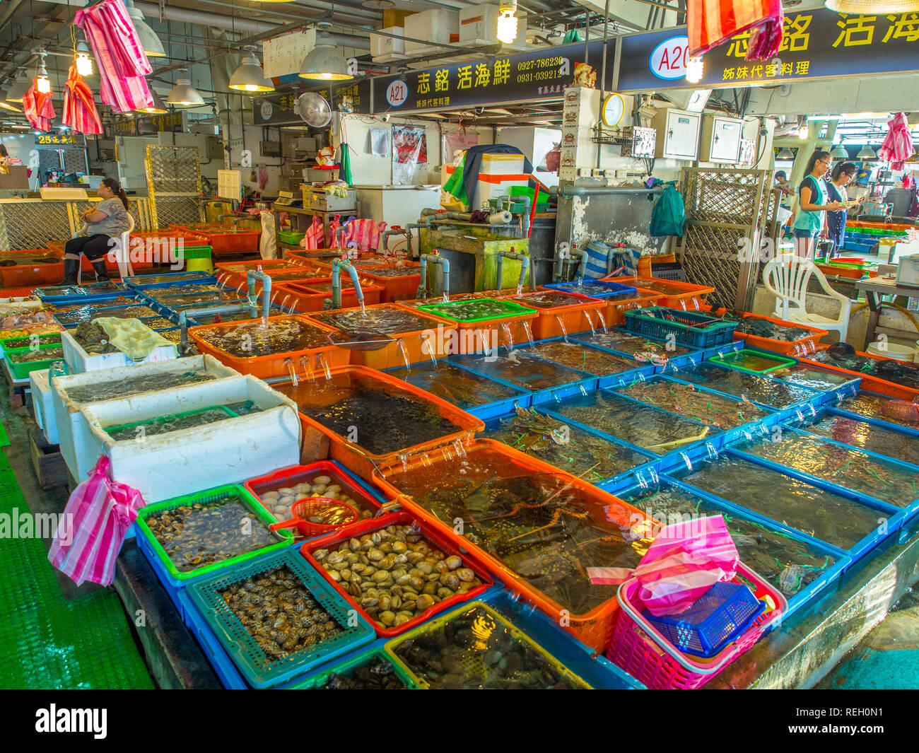 Fuji, Taiwan - October 03, 2016: Various fresh fish, shells and other ...
