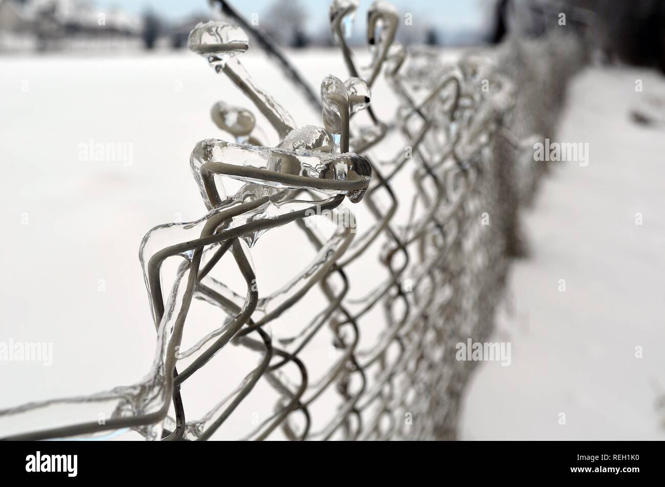 Netting too close hi-res stock photography and images - Alamy