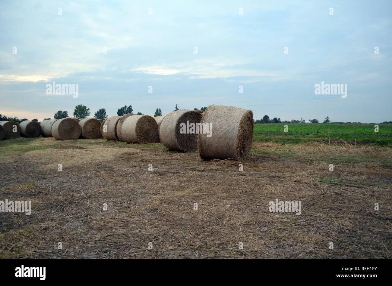 Huge hay bale hi-res stock photography and images - Alamy