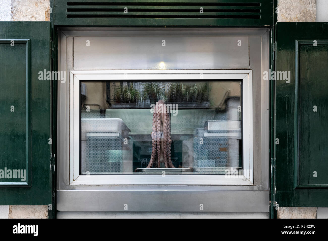 Octopus seen through the window of a tasca, traditional Portuguese ...