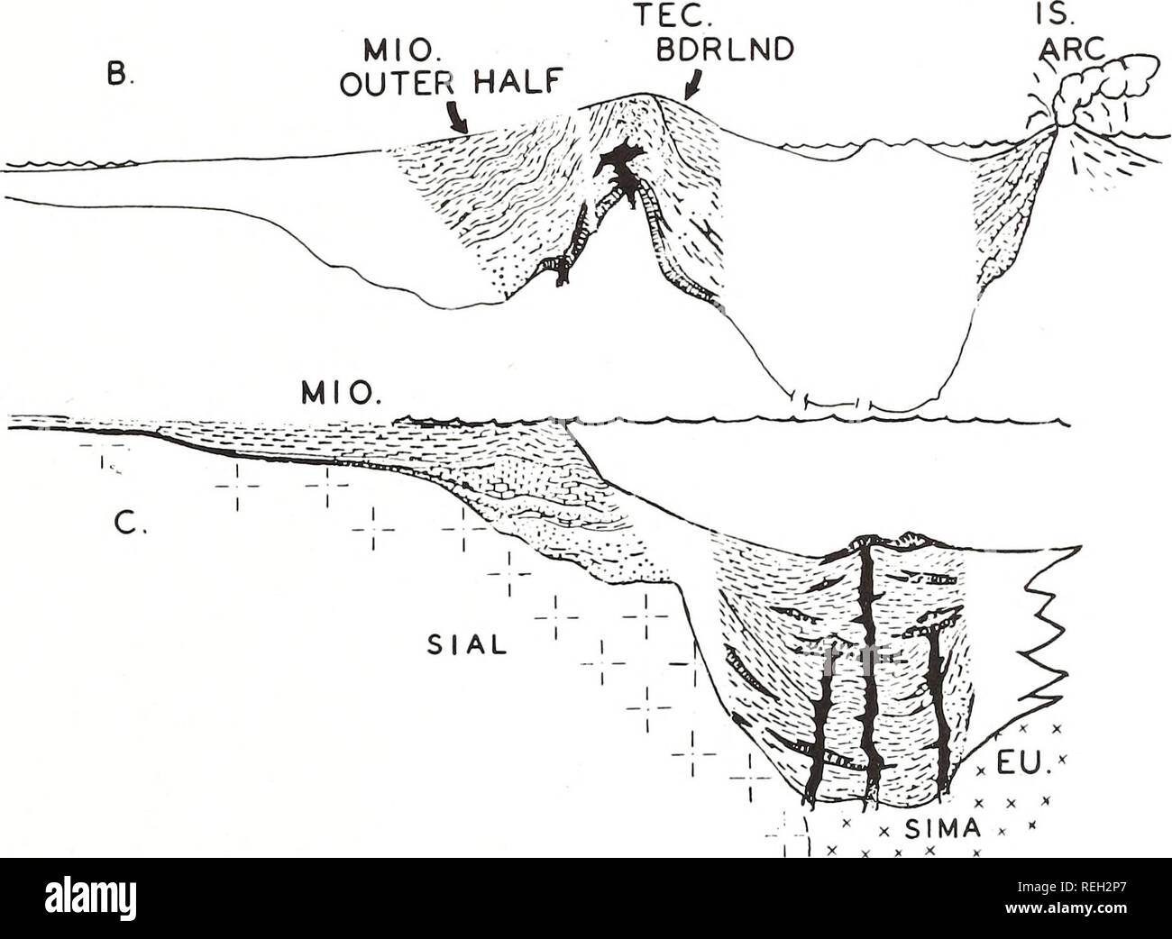 Continental Island Drawing