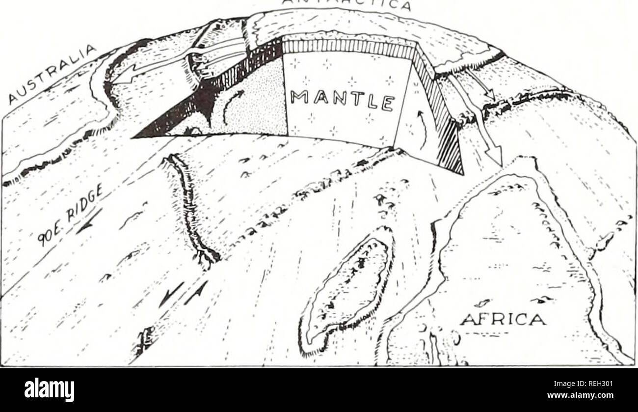 Panthalassa hi-res stock photography and images - Alamy