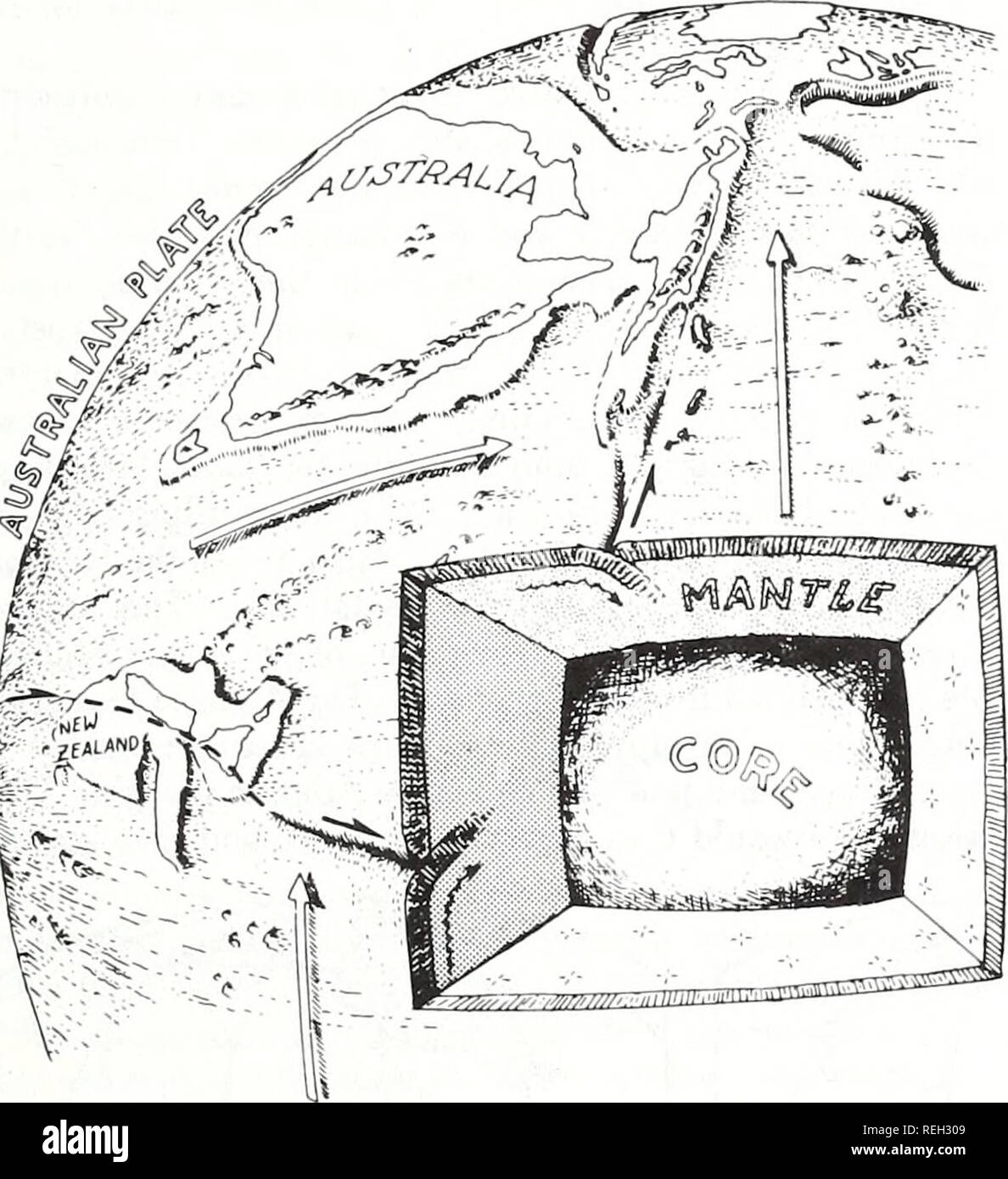 Sialic hi-res stock photography and images - Alamy