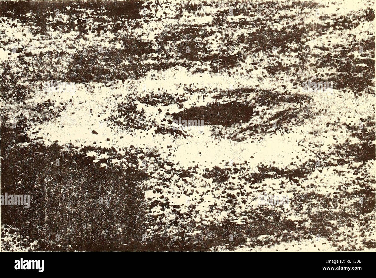 Meteorite crater australia hi-res stock photography and images - Alamy