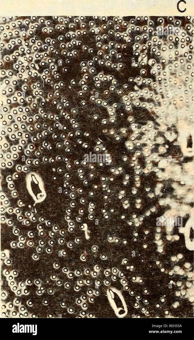 Sediment core sample hi-res stock photography and images - Alamy