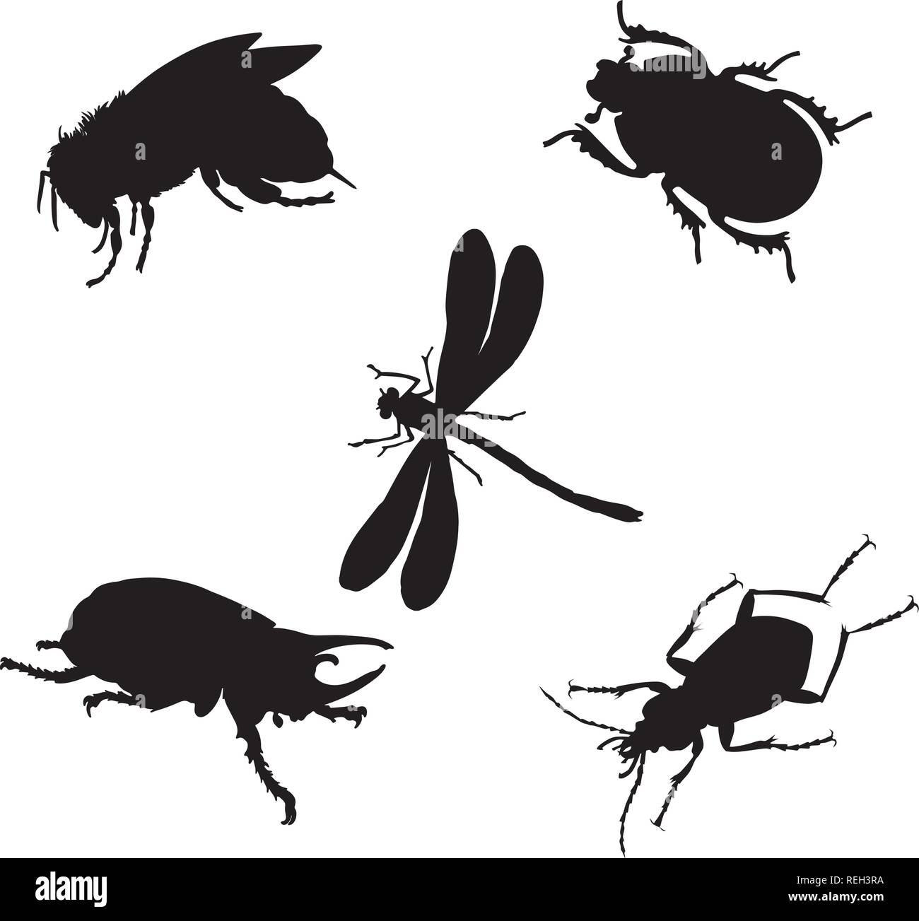 Old engraved illustration bee vintage Cut Out Stock Images & Pictures ...