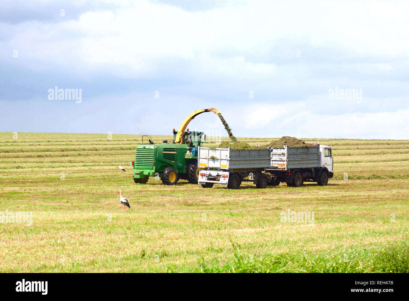 Truck transporting wheat hi-res stock photography and images - Alamy