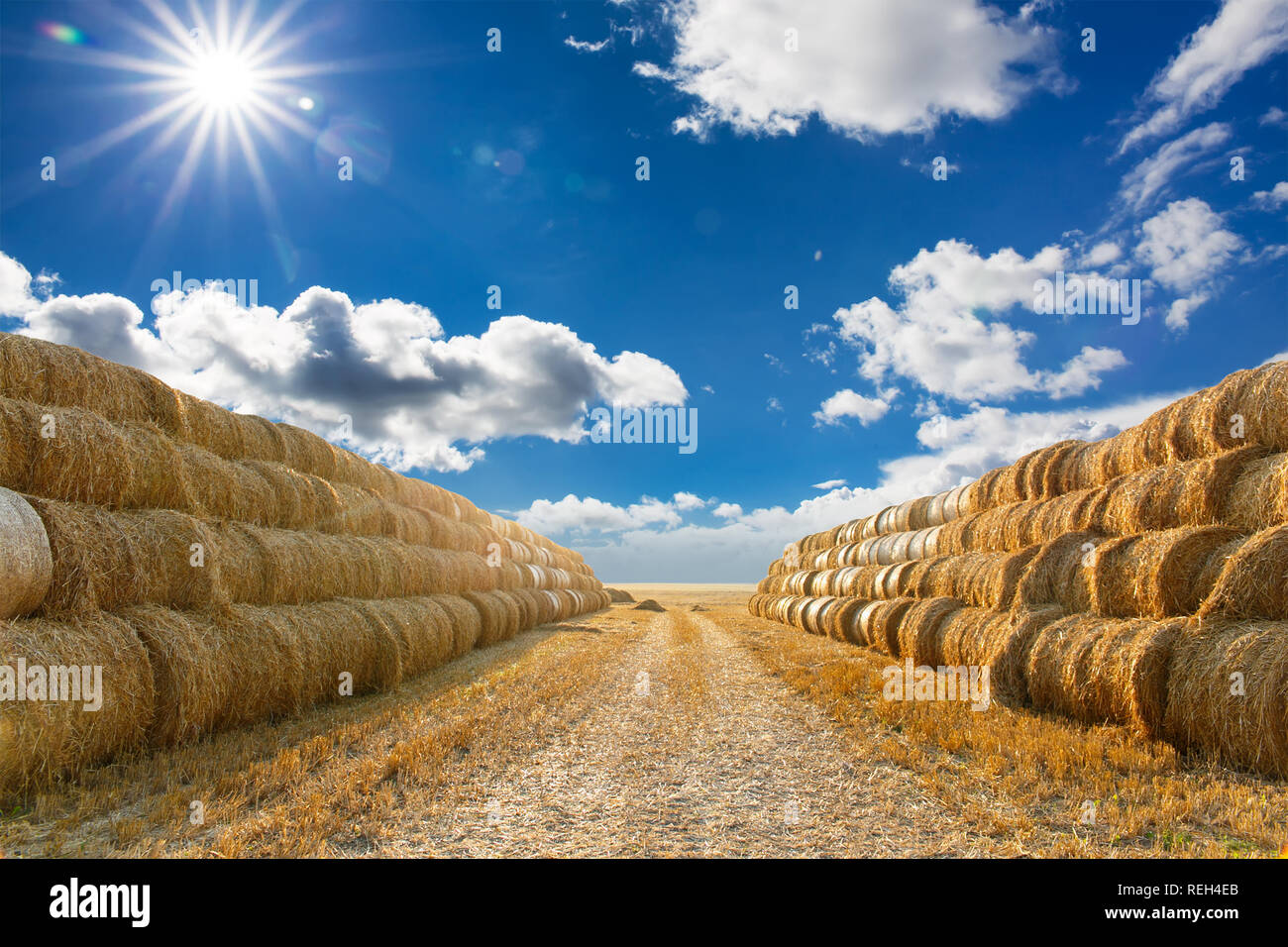 Big haystack at field in the countryside Stock Photo - Alamy