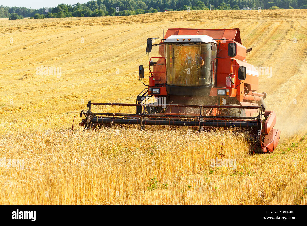 Combine harvester unloading wheat hi-res stock photography and images ...
