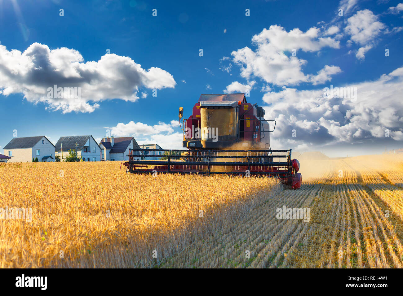 combine harvester working on a wheat field Stock Photo - Alamy